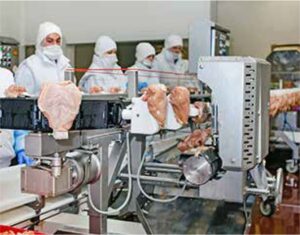 About - Centre for Meat Innovation and Technology