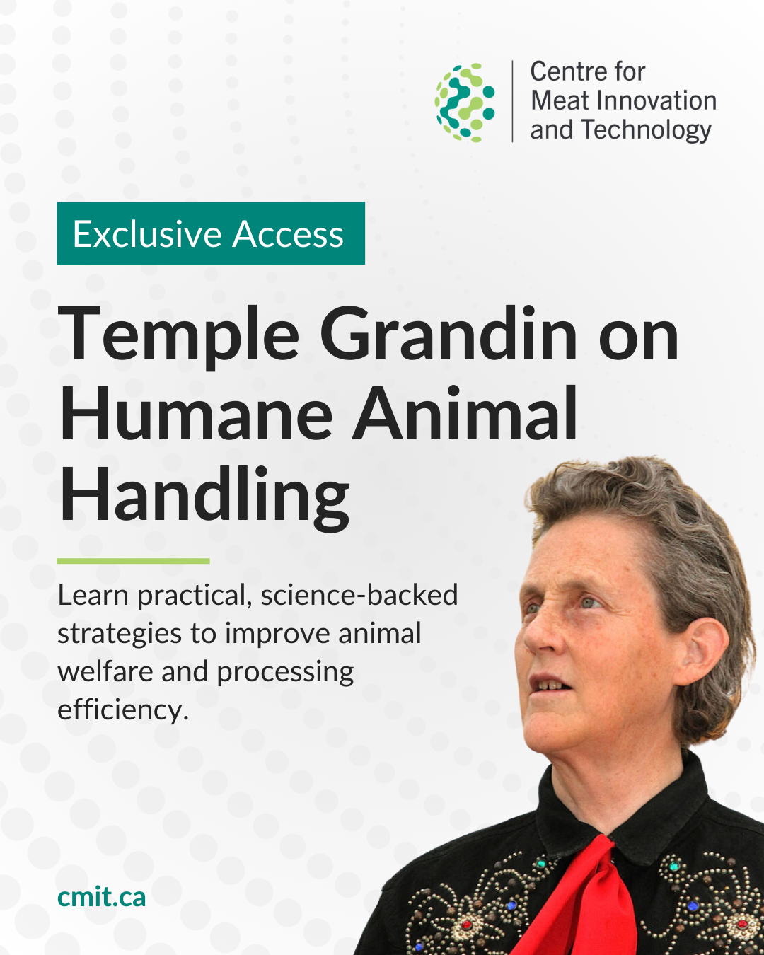 Centre for Meat Innovation & Technology (CMIT)